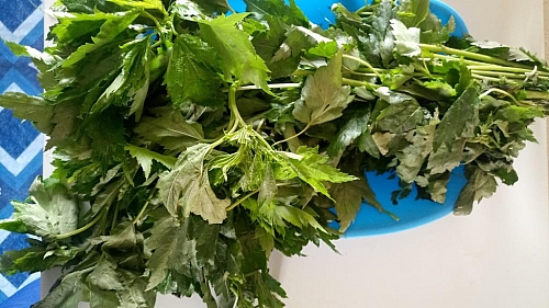 Ewedu Soup: How to Make Ewedu Soup Without Potash (Jute Soup Recipe ...